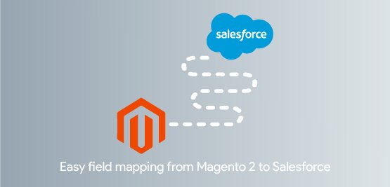 Magento 2 Salesforce CRM Integration Extension | Magenest